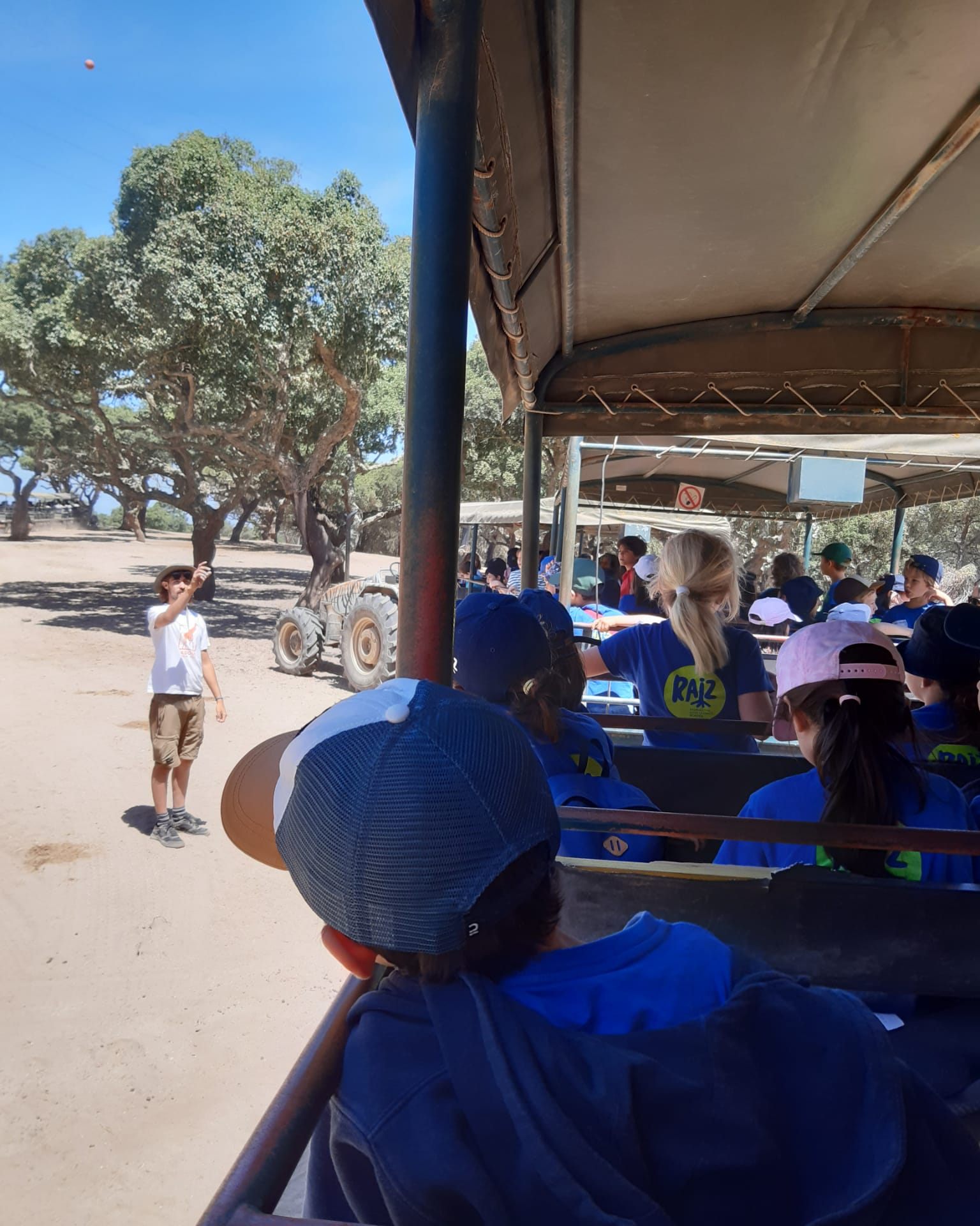 VISITA BADOCA SAFARI PARK - Raiz