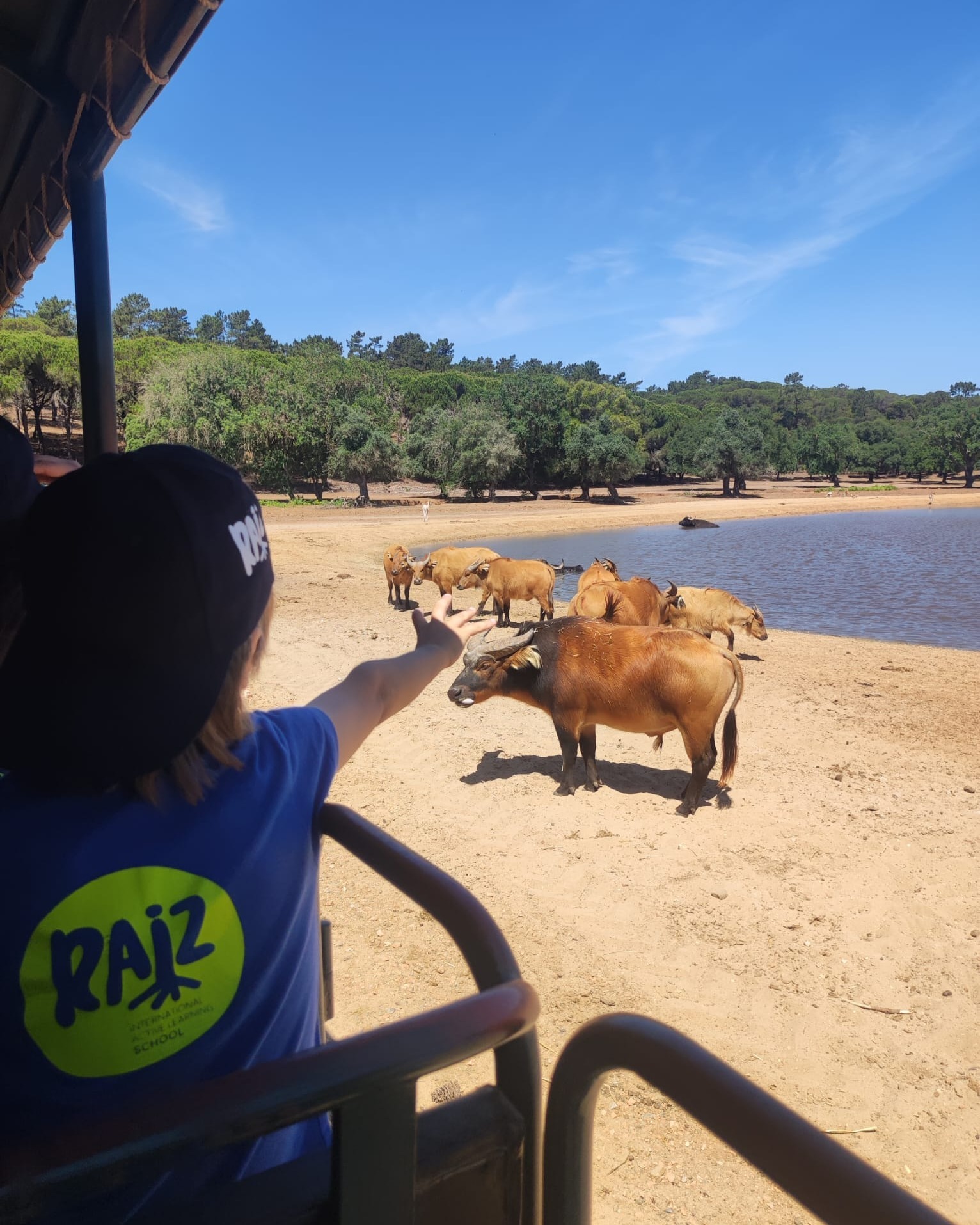 VISITA BADOCA SAFARI PARK - Raiz